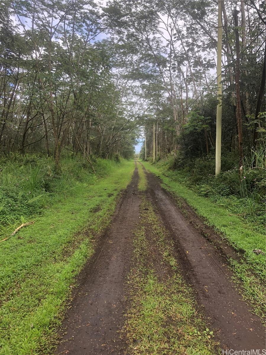 00 Pikake Road , Pahoa, Hi 96778 - Nanawale Est