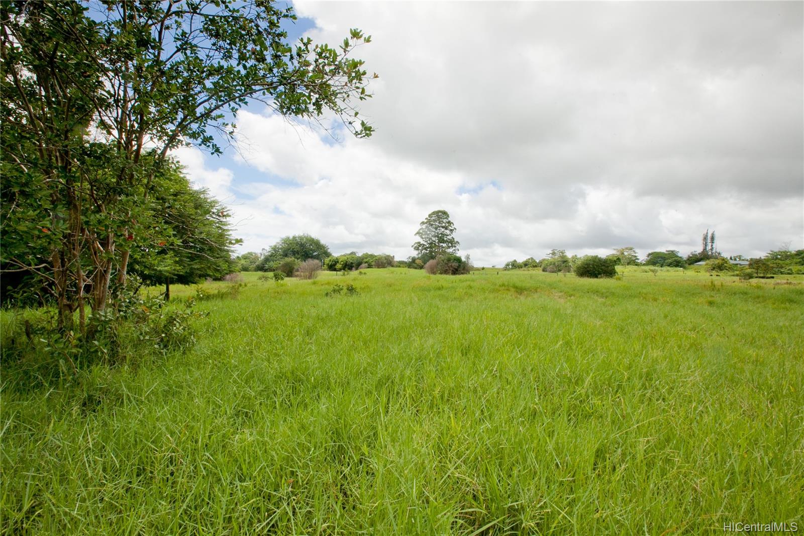 205 Hoaka Road , Hilo, Hi 96720 - Waiakea Hmstd