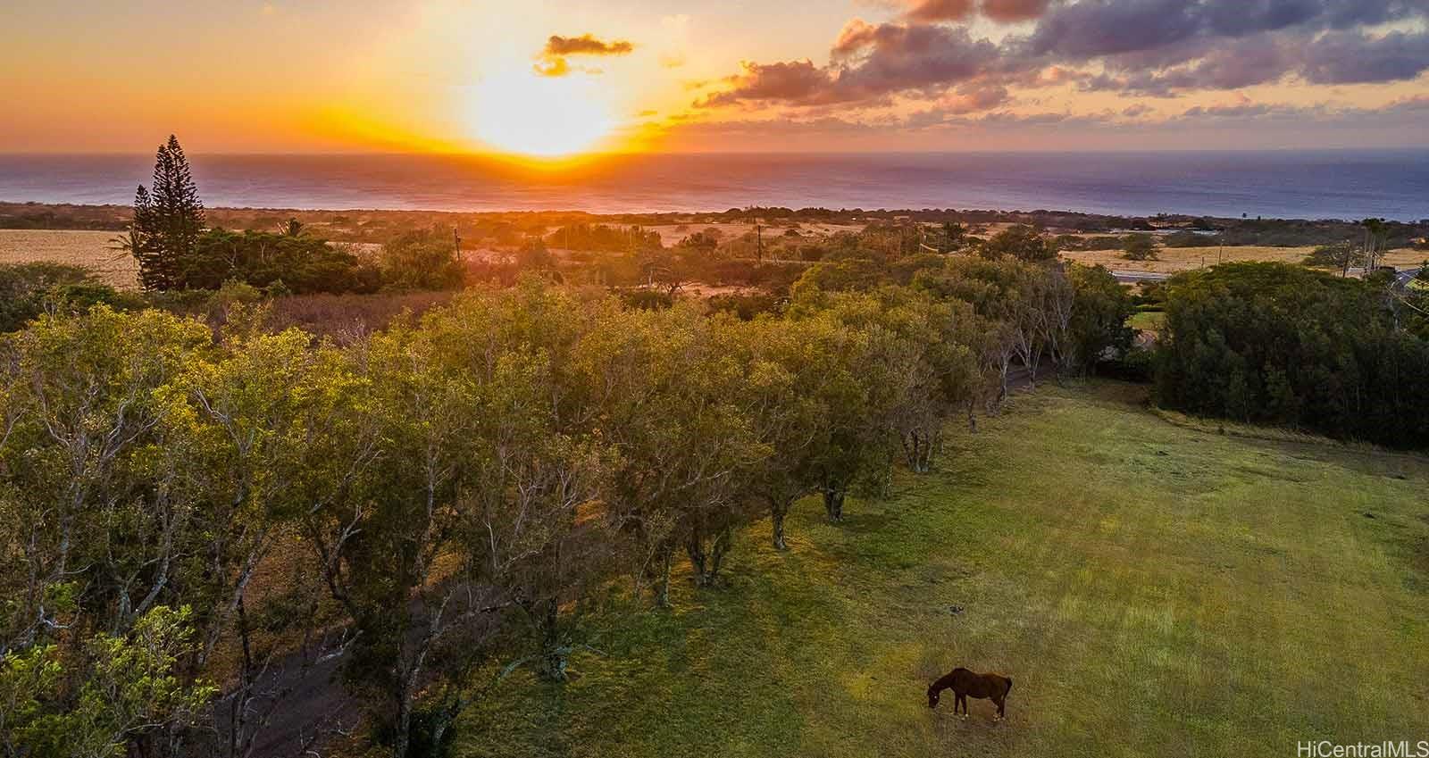 56-2864 Akoni Pule Hwy, Hawi - Commercial real estate in Hawaii for sale