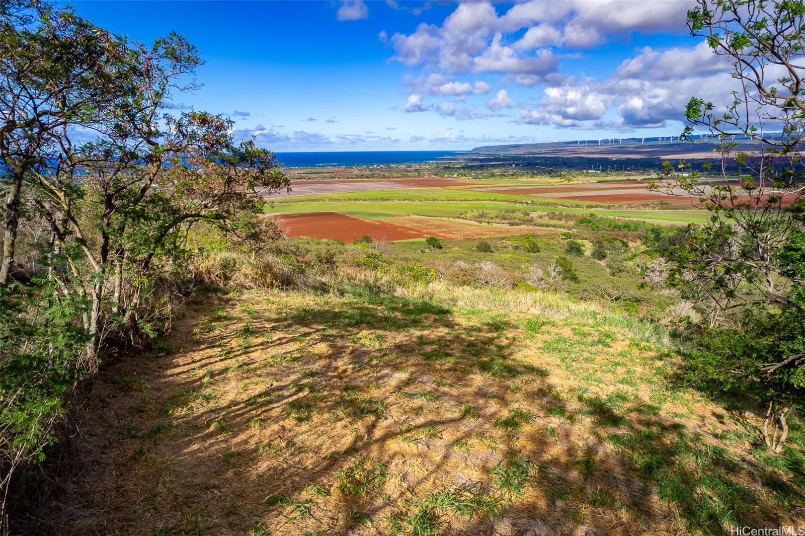 67-174C Farrington Hwy 2A & 2B, Waialua, Hi 96791 - Waialua