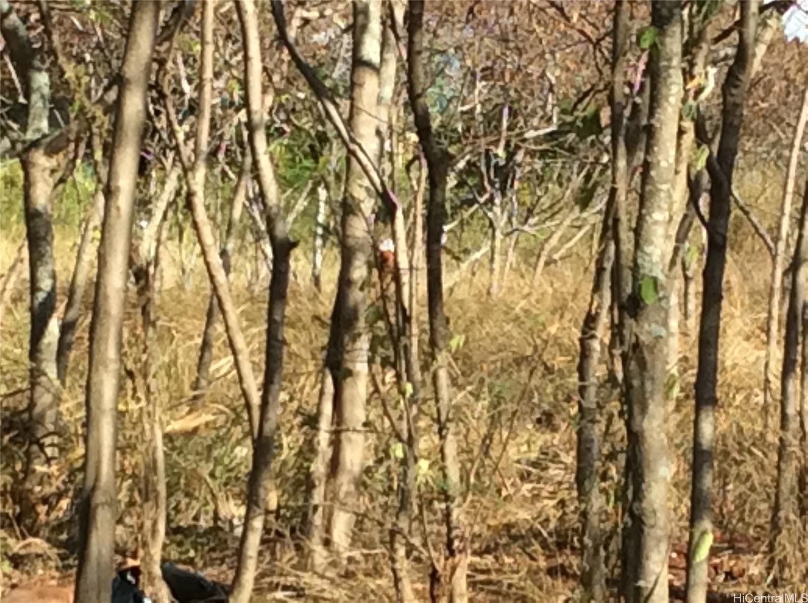 94-0000 Kunia Road , Waipahu, Hi 96797 - Royal Kunia