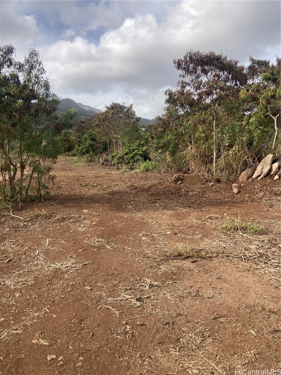 94-1100 KUNIA Road 18A, Waipahu, Hi 96797 - Ag/preserve