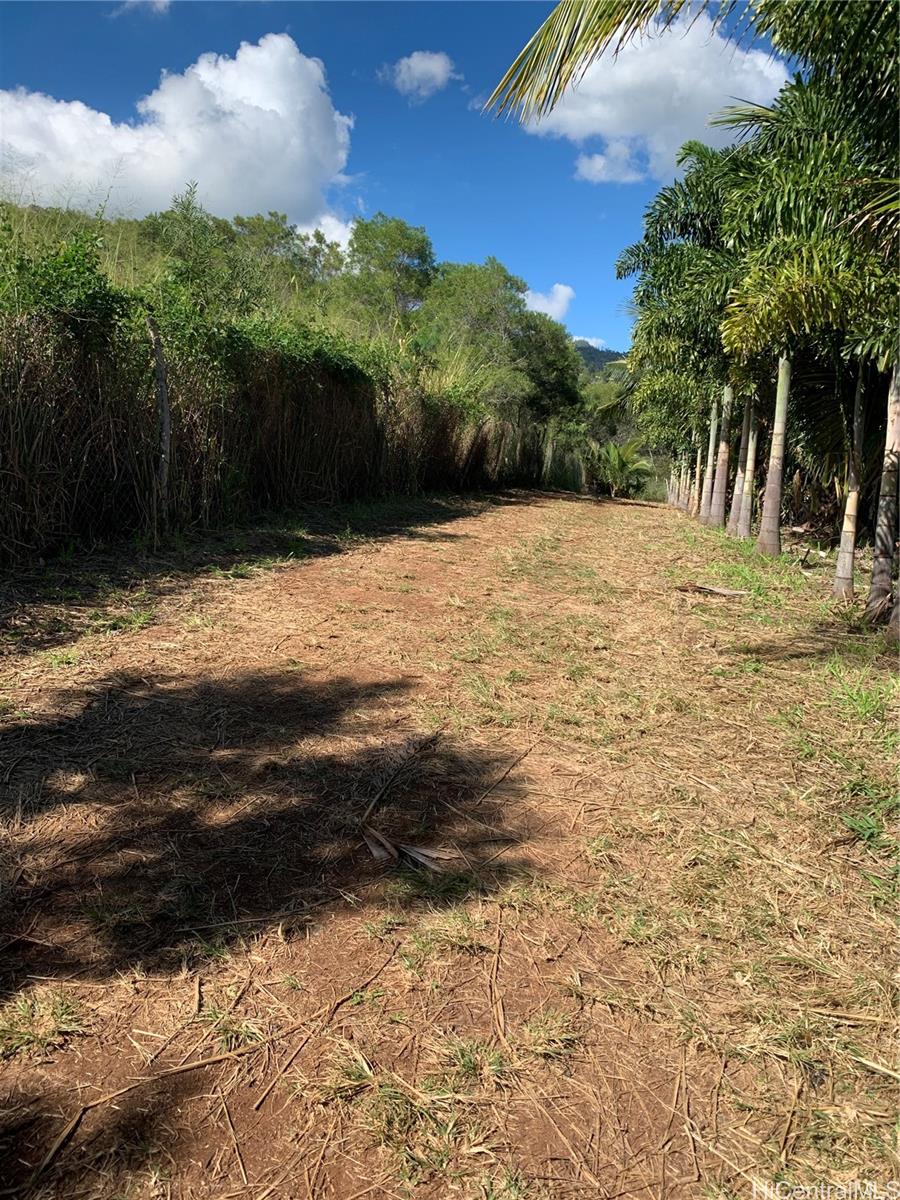 94-1100 Kunia Road 64 B-1, Waipahu, Hi 96797 - Ag/preserve