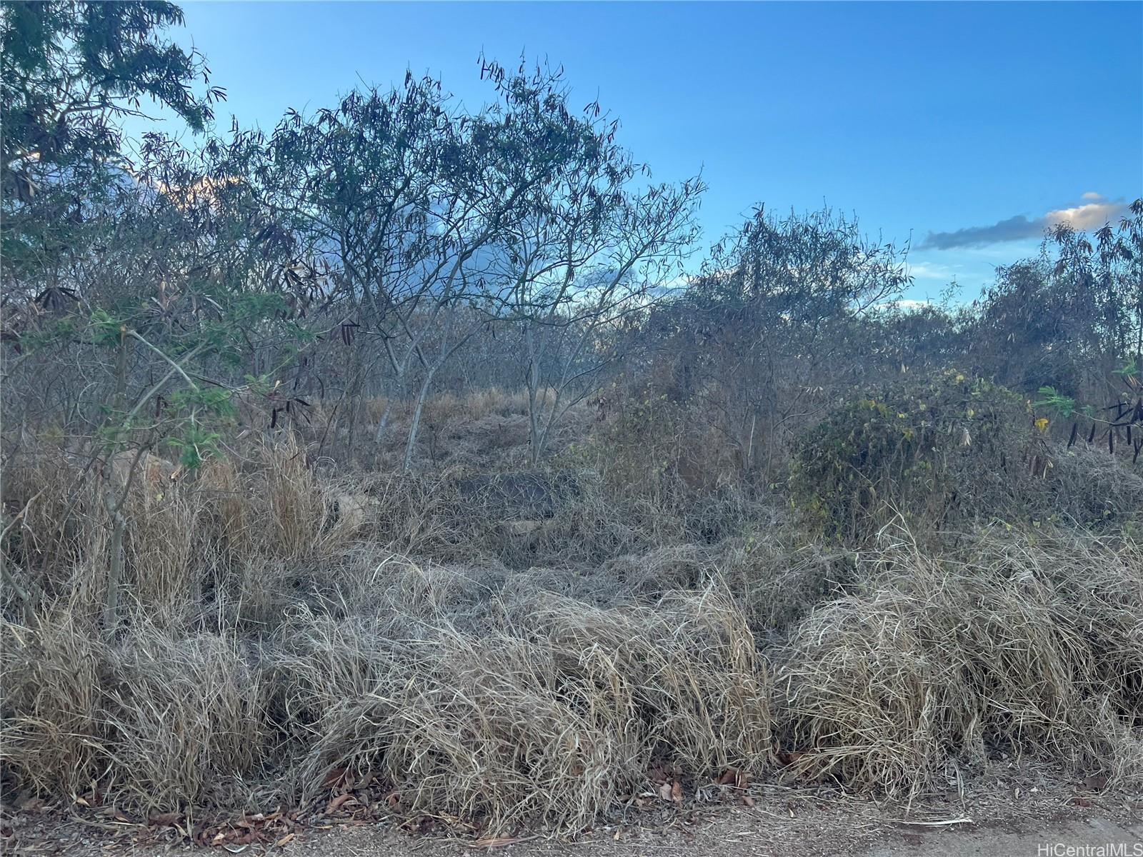 94-944 Anoiki St 10, Waipahu, Hi 96797 - Royal Kunia